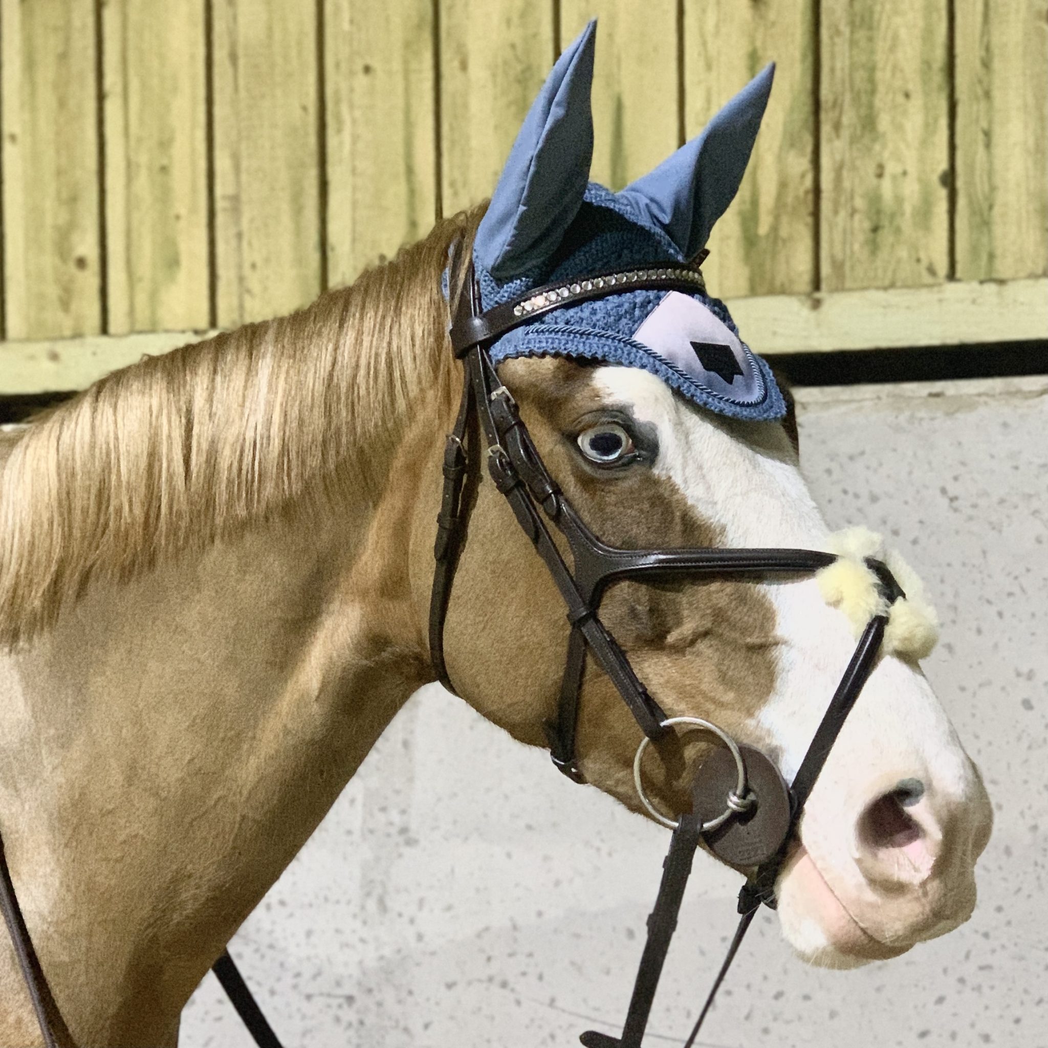 Equilux Orion anatomical grackle bridle – Equilux Equestrian
